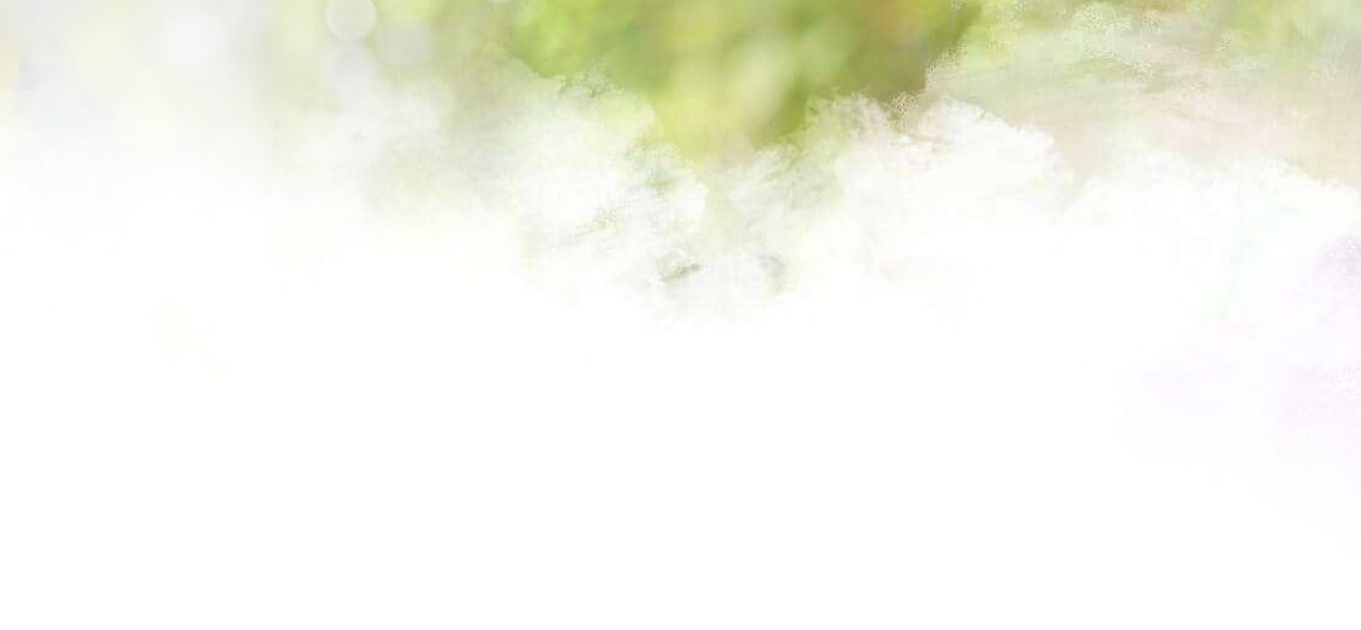 main_bg – Lanaoncospa